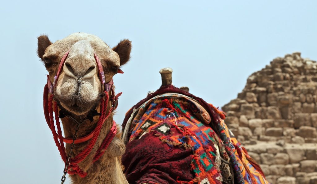 How to Learn Arabic: 10 Easy Steps to Reach Fluency | OptiLingo