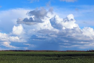 OptiLingo: Language App - Conquering the Intermediate Language Learning ...